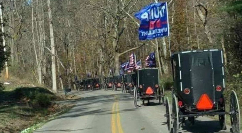 AMISH NOT MESSING AROUND: Buggies Making a Bee-Line to the Ballot Box ...