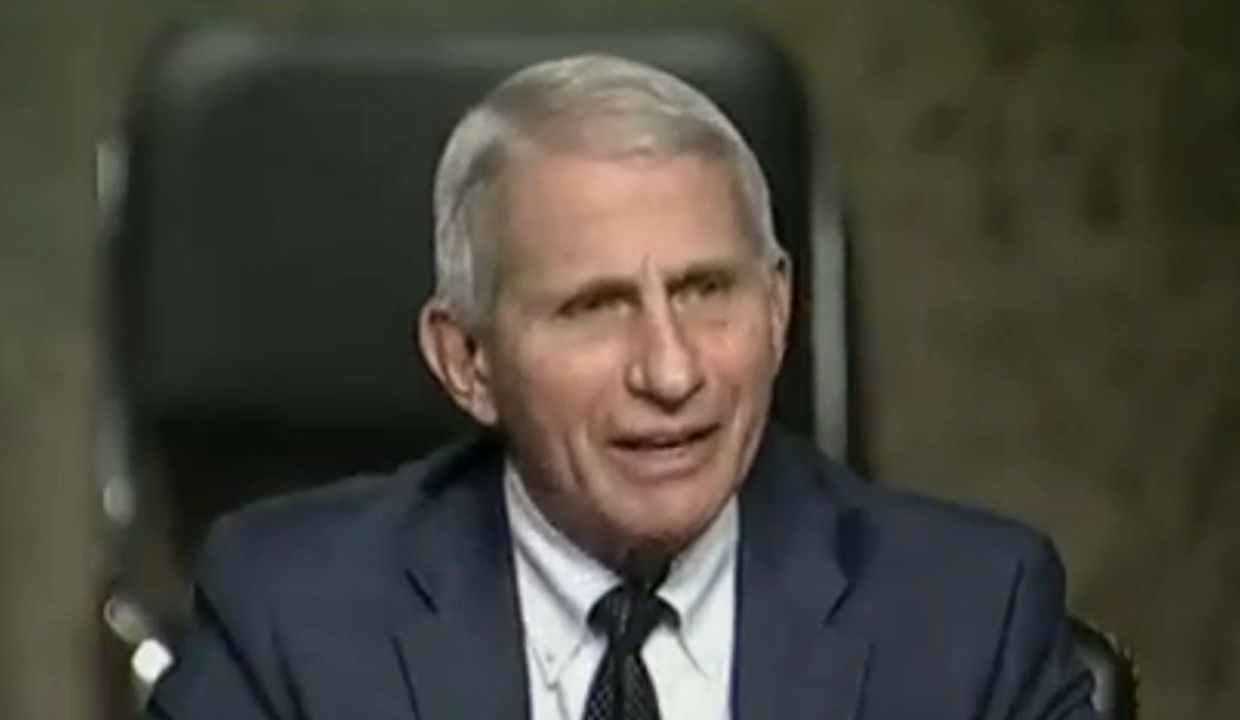 senator-responds-after-fauci-called-him-moron-on-hot-mic-todd-starnes