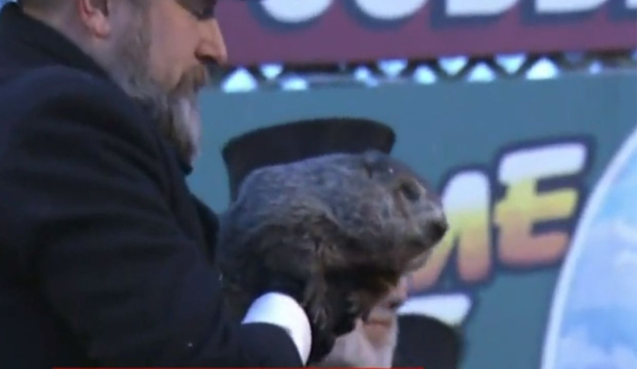 VIDEO: Punxsutawney Phil Makes Groundhog Day Prediction - Todd Starnes