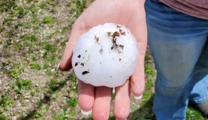 Tornadoes, Grapefruit-Sized Hail Pound Nation's Heartland - Todd Starnes