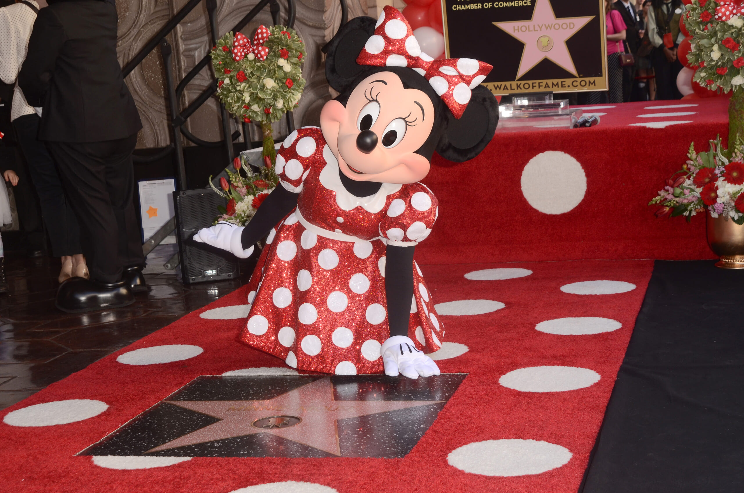 Disney TikTok Features Young Man Dressed as Minnie Mouse - Todd Starnes