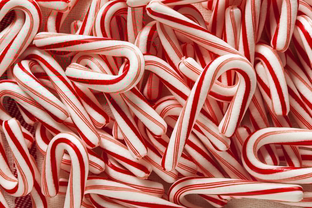 Teacher Punished For Teaching Kids the History of the Candy Cane - Todd ...